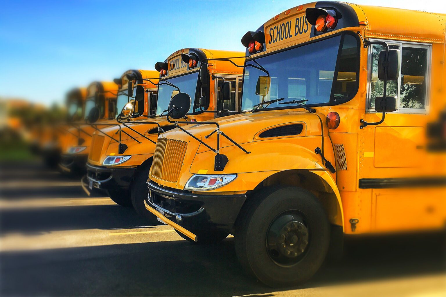 Charter A Bus For Large Group Transportation | BusBank